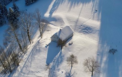 Der Ruf des Waldes - Waldurlaub