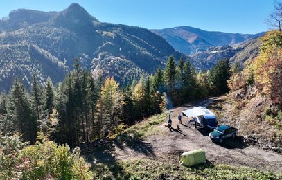 Der Ruf des Waldes - Waldurlaub