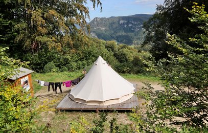 Der Ruf des Waldes - Waldurlaub