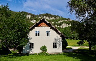 Der Ruf des Waldes - Waldurlaub