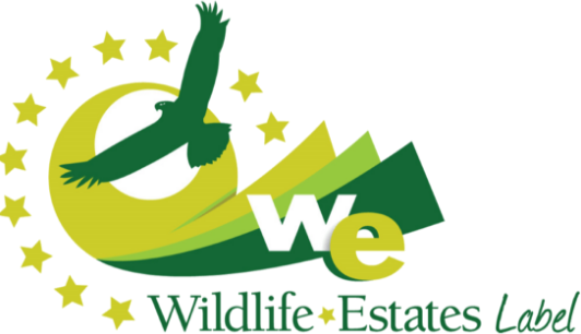 Der Ruf des Waldes - Waldurlaub